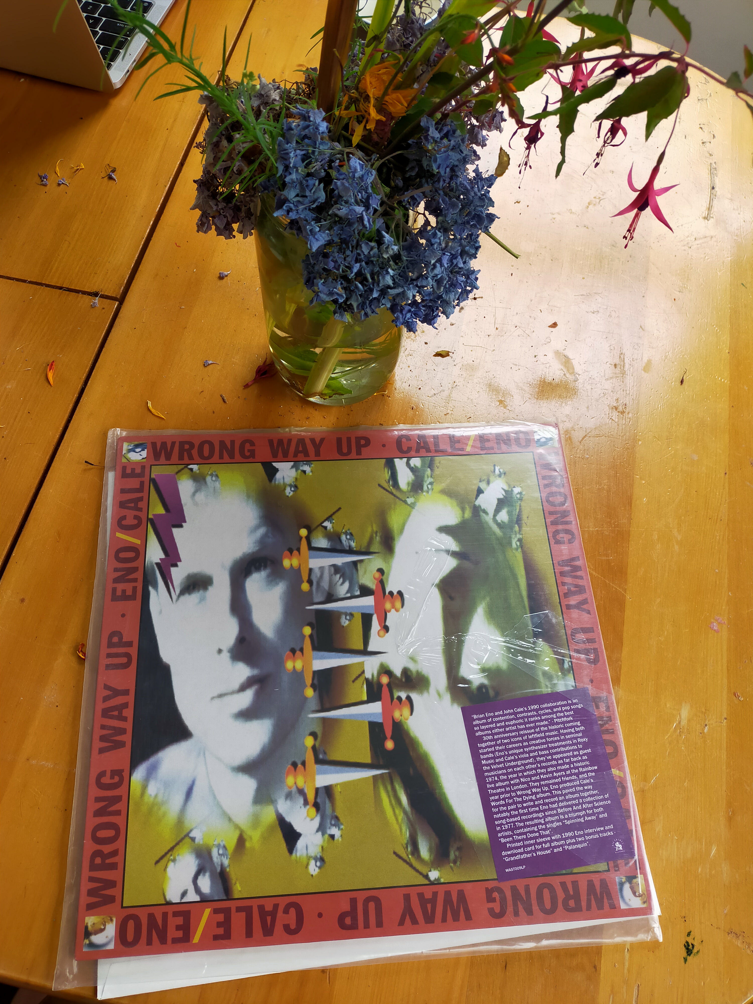 Every Record I Own: Brian Eno and John Cale – Wrong Way Up – EAMONN MARRA